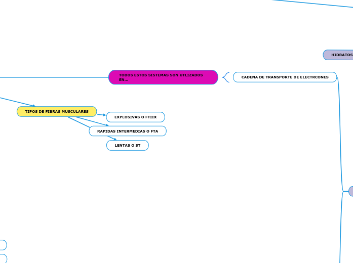 MOVIMIENTO Y EL CUERPO - Mind Map